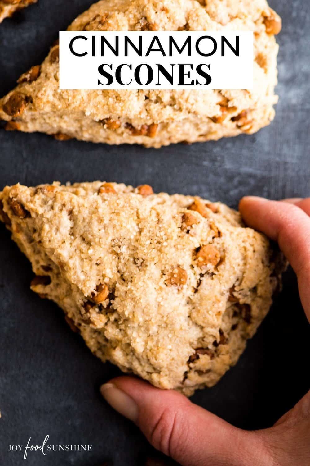 Cinnamon Scones (with Cinnamon Chips) - JoyFoodSunshine
