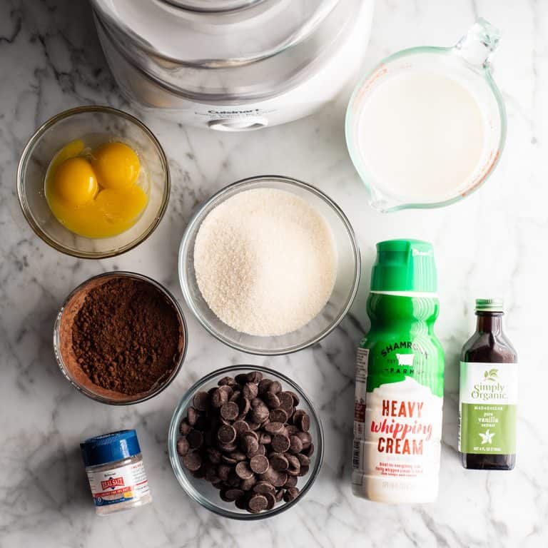 Best Homemade Chocolate Ice Cream - JoyFoodSunshine
